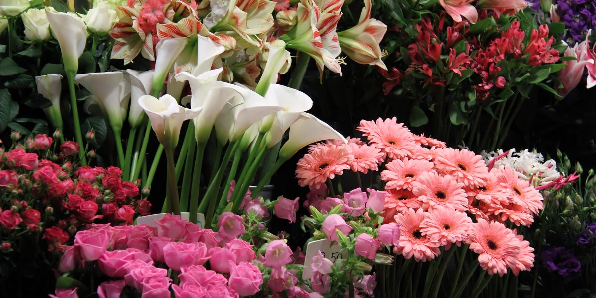 Floristas em Lisboa: Como Escolher Flores para Eventos Especiais ...
