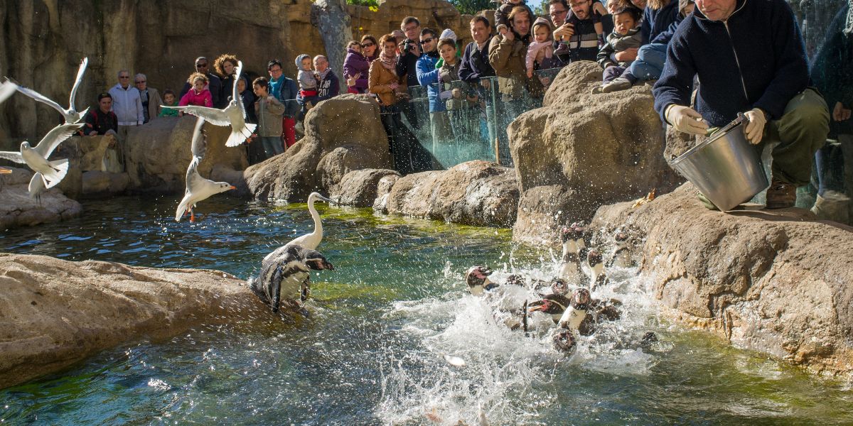 Desconto Imperdível no Zoo Santo Inácio: Uma Experiência Única para ...